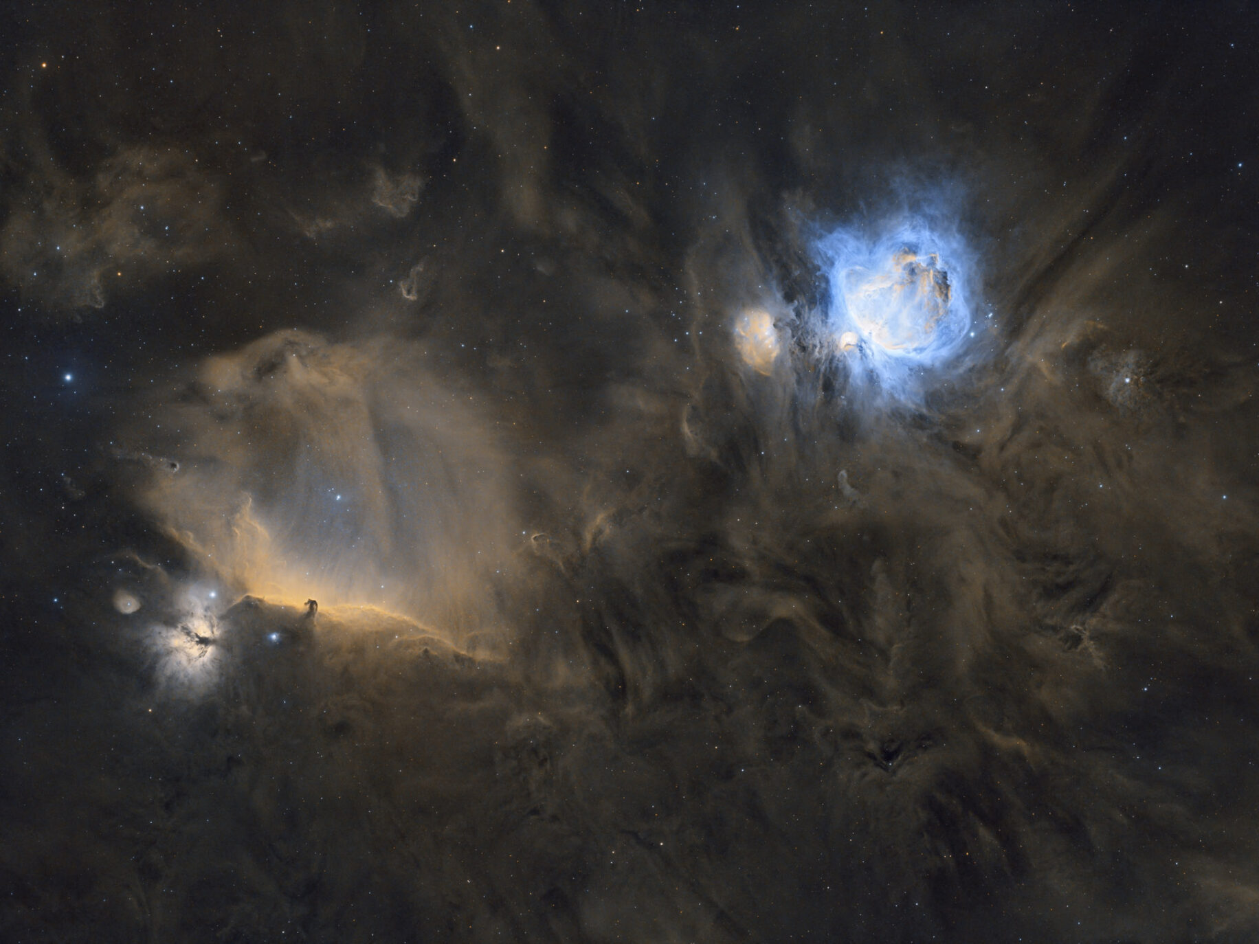 Widefield in Orion - Sky & Telescope - Sky & Telescope
