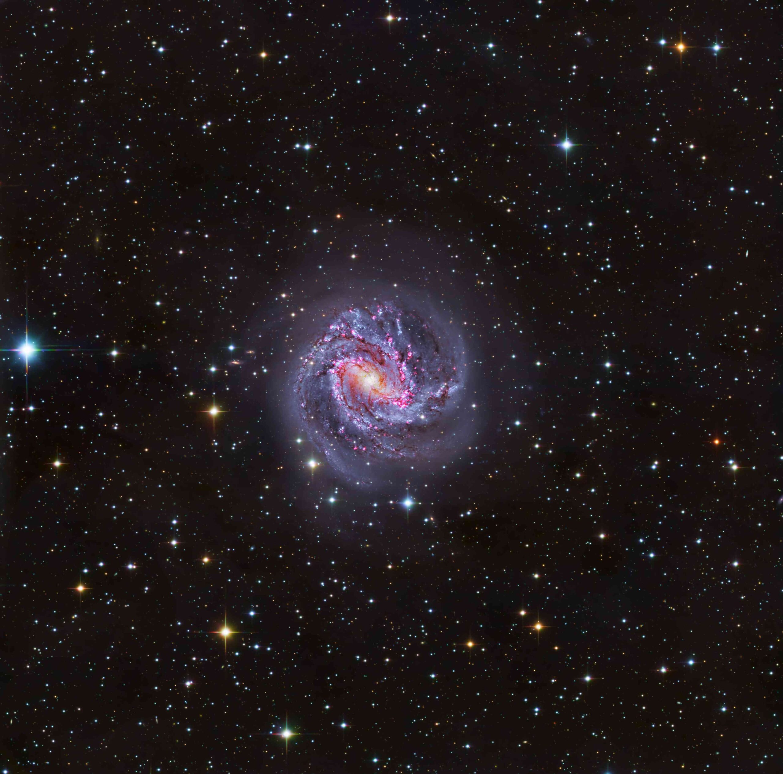 Messier 83 The Southern Pinwheel Galaxy - Sky & Telescope - Sky & Telescope