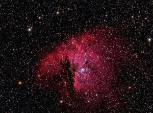 NGC 281 | Stephen D Pastor - Sky & Telescope - Sky & Telescope
