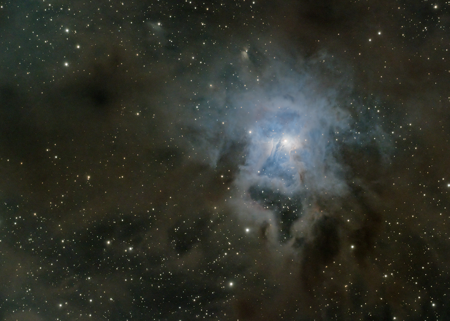 The Iris Nebula - Sky & Telescope - Sky & Telescope