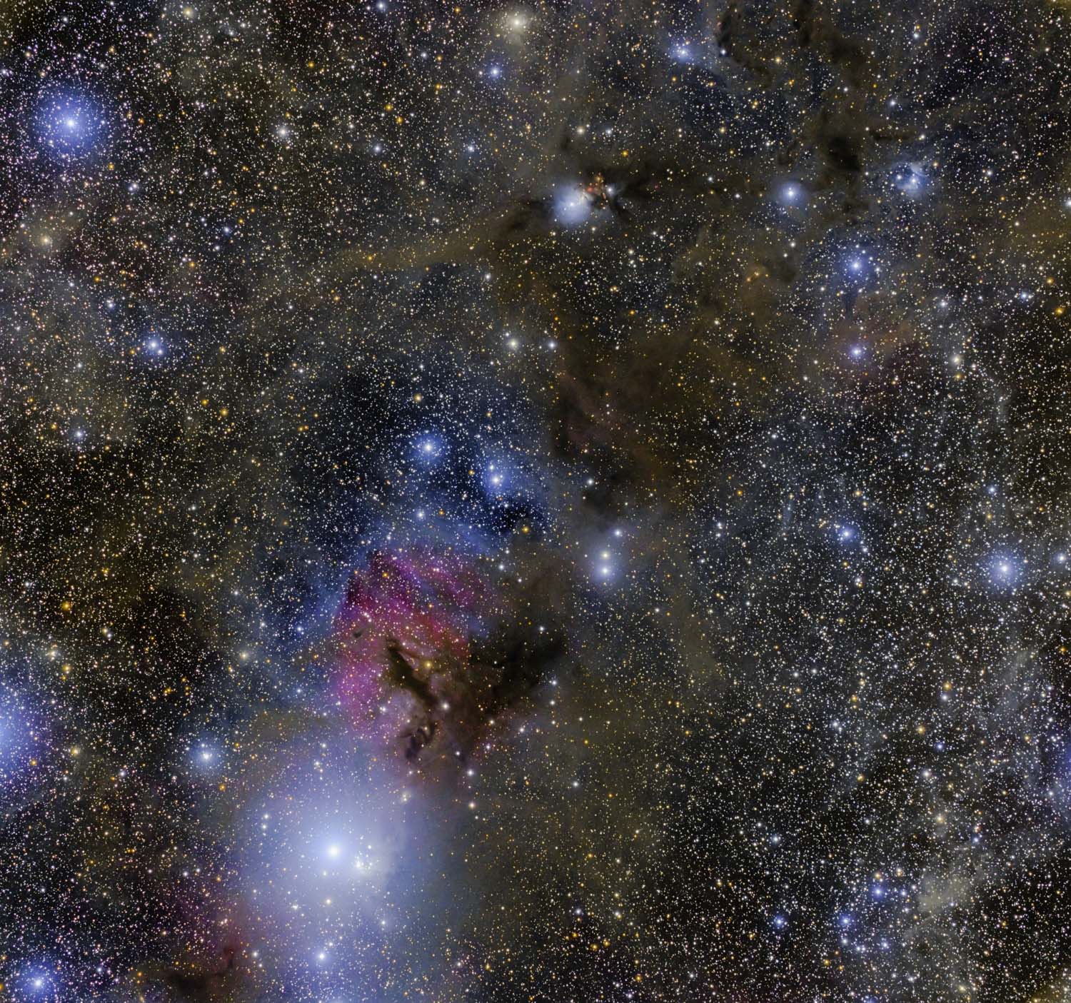 PERSEUS GIANT MOLECULAR CLOUD WITH STAR NURSERIES IC348 & NGC1333 - Sky ...