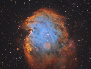 NGC2175 - The Monkey Head Nebula in narrowband | Bernard Miller - Sky ...
