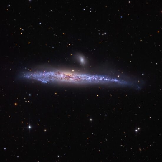 NGC 4631 - Sky & Telescope - Sky & Telescope