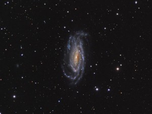 NGC5033 | Bernard Miller - Sky & Telescope - Sky & Telescope