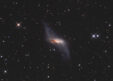 Polar Ring Galaxy NGC 660 - Sky & Telescope - Sky & Telescope