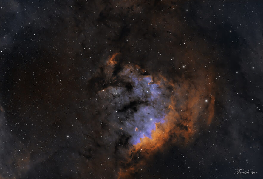 NGC 7822 - Teddybear Nebula - Sky & Telescope - Sky & Telescope