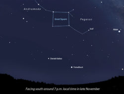 Counting Stars in the Great Square - Sky & Telescope - Sky & Telescope