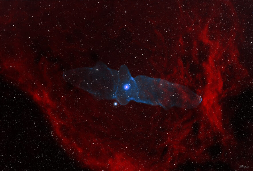 SH2-129 & OU4 - Flying Bat & Squid Nebula - Sky & Telescope - Sky ...