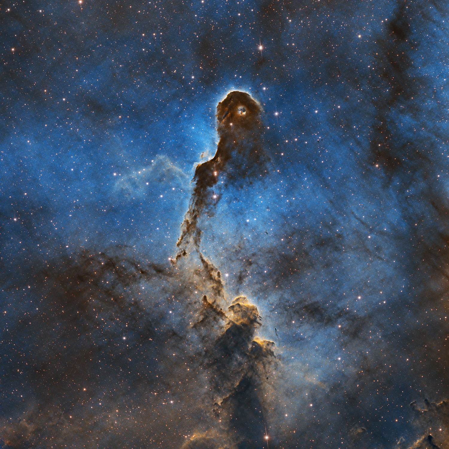 The Elephant's Trunk Nebula in Cepheus - Sky & Telescope - Sky & Telescope