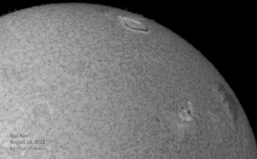 Our Sun - Circular Filament - Sky & Telescope - Sky & Telescope