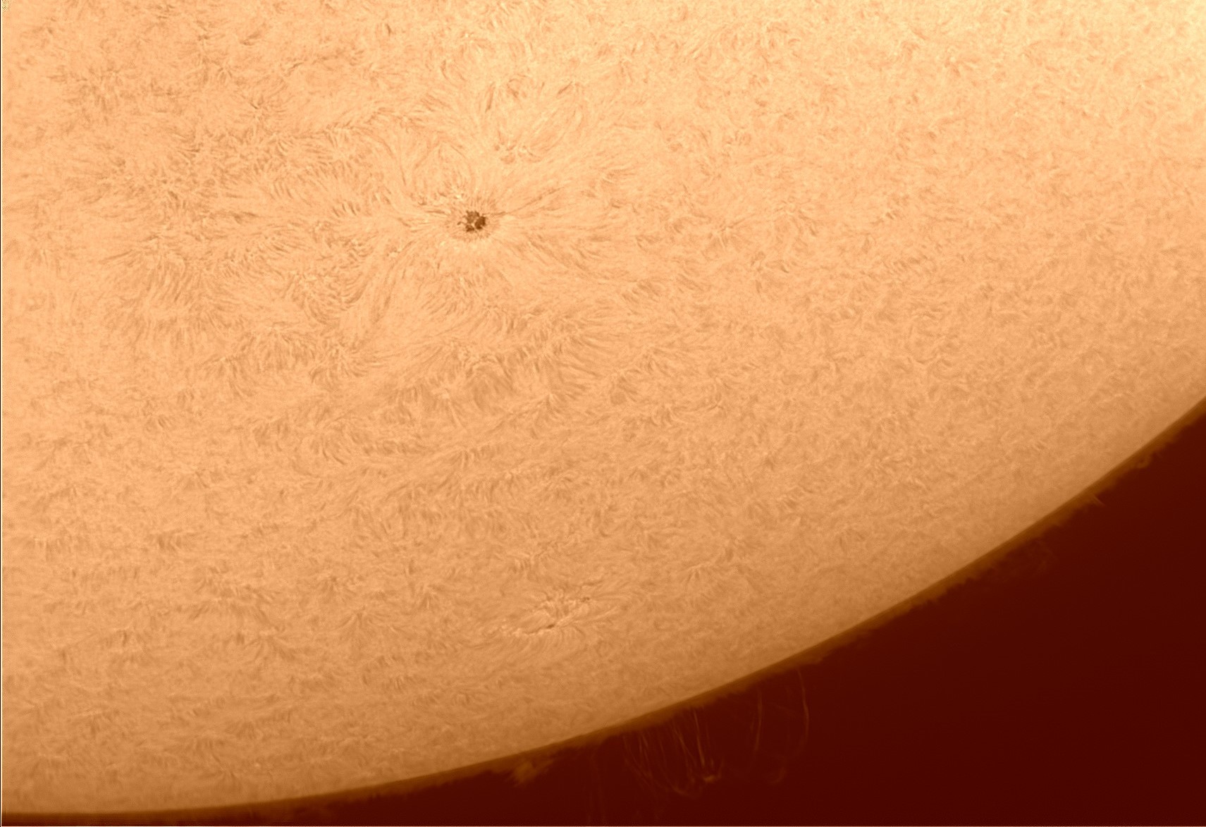 Sunspot & Magnetic Loops - Sky & Telescope - Sky & Telescope