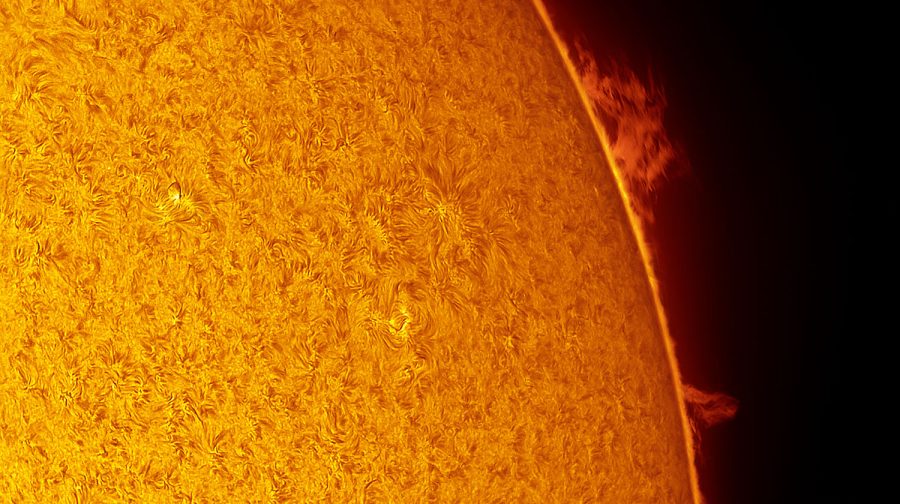 Solar prominences in H-Alpha - Sky & Telescope - Sky & Telescope
