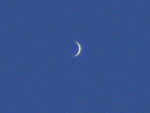 Daytime Venus | John Dvorak - Sky & Telescope - Sky & Telescope