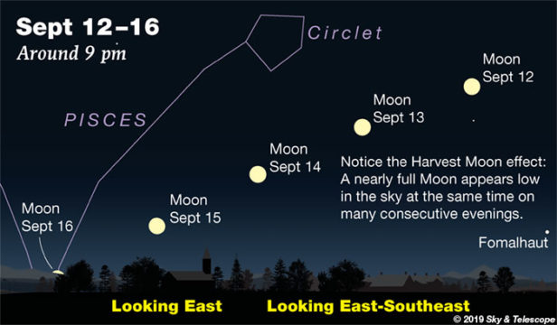 This Week’s Sky at a Glance, September 6 – 14 - Sky & Telescope - Sky ...