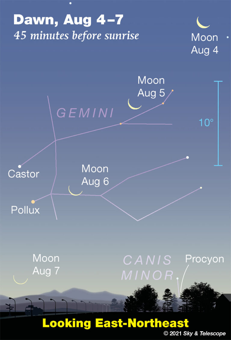 This Week's Sky at a Glance, July 30 – August 7 - Sky & Telescope - Sky ...