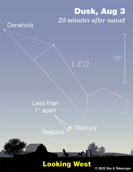 This Week's Sky at a Glance, July 29 – August 6 - Sky & Telescope - Sky & Telescope