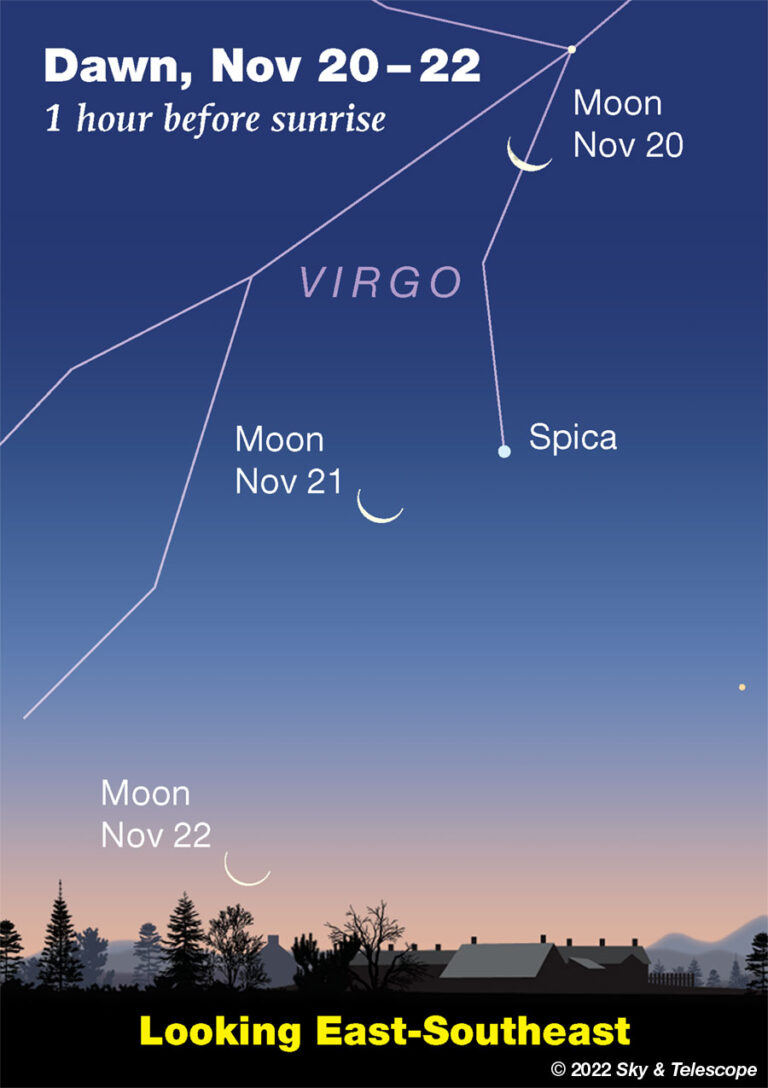 This Week's Sky at a Glance, November 18 – 26 - Sky & Telescope - Sky & Telescope