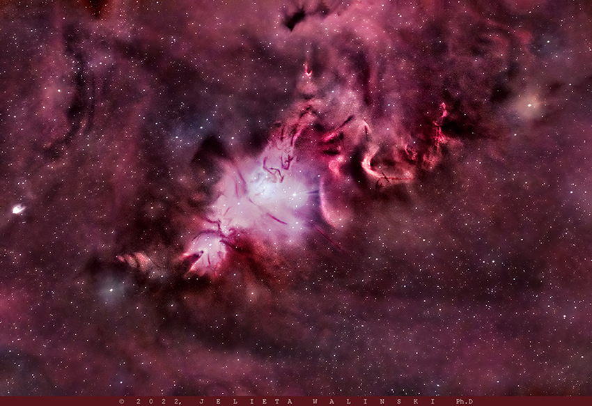 Cone Nebula - Sky & Telescope - Sky & Telescope