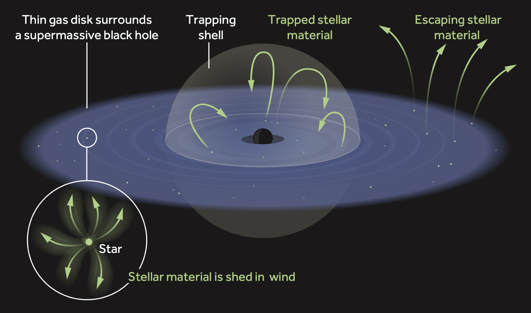 The Life and Times of Immortal Stars - Sky & Telescope - Sky & Telescope