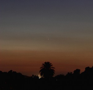 Comet PAN-STARRS | Dhruv Paranjpye - Sky & Telescope