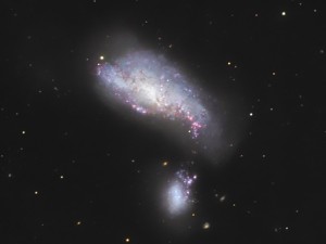 NGC4490+4485 | dietmar hager - Sky & Telescope - Sky & Telescope