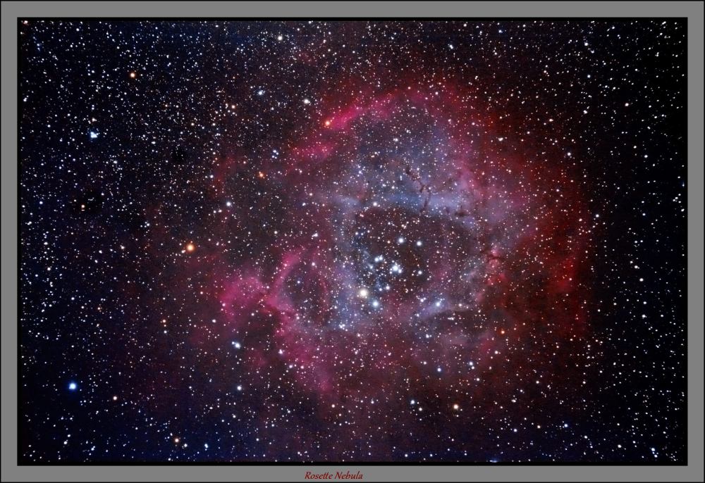 Thr Rose | David Brown - Sky & Telescope - Sky & Telescope